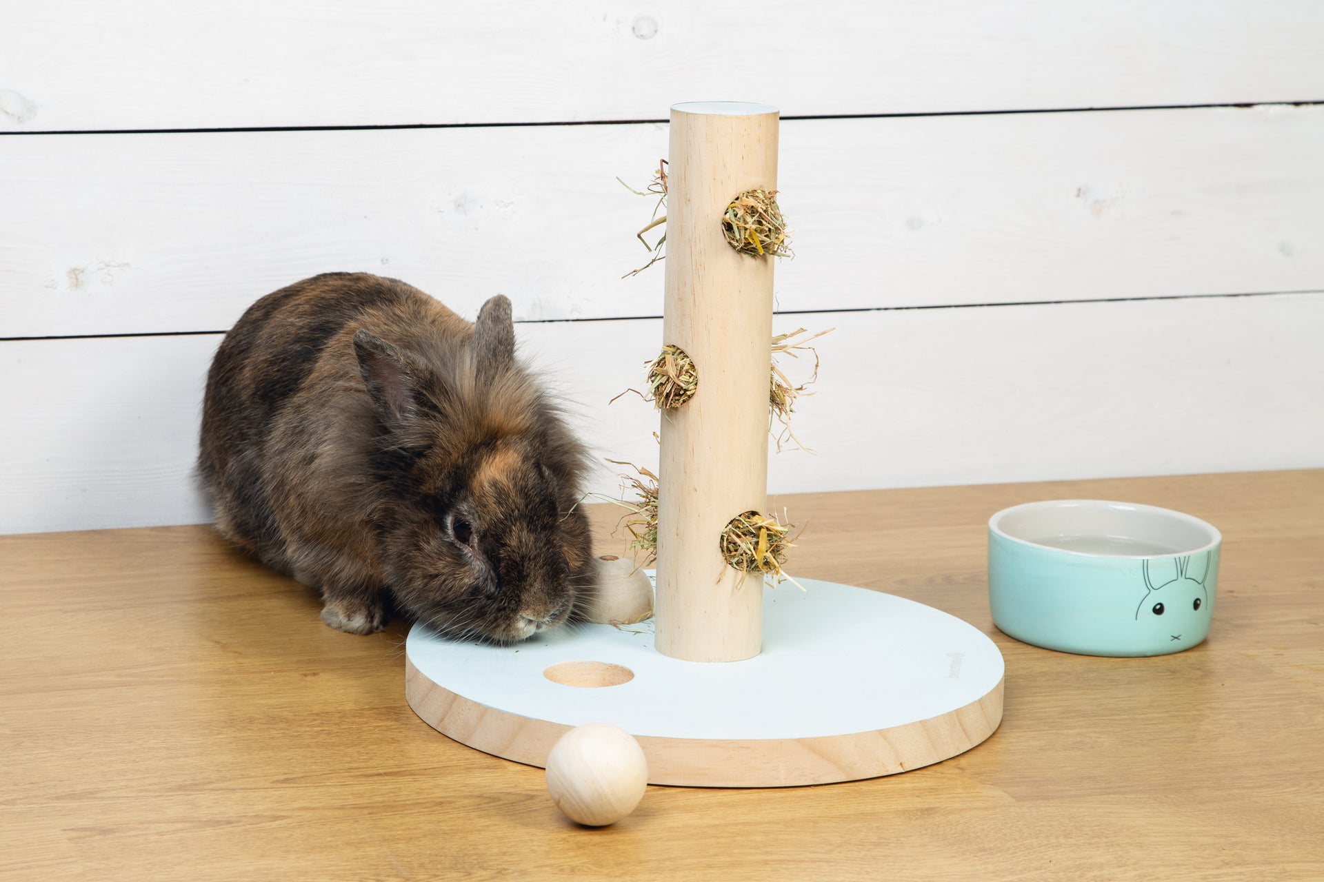 Pip & Pepper | Jouw online dierenwinkel | Webshop dierenspeciaalzaak