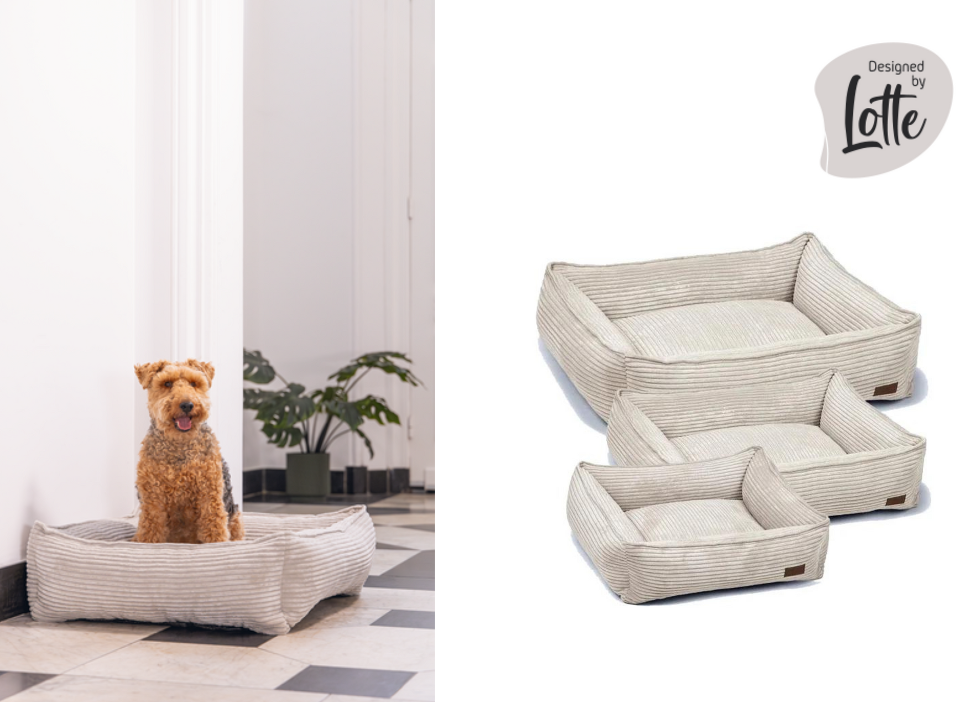 Pip & Pepper | Jouw online dierenwinkel | Webshop dierenspeciaalzaak