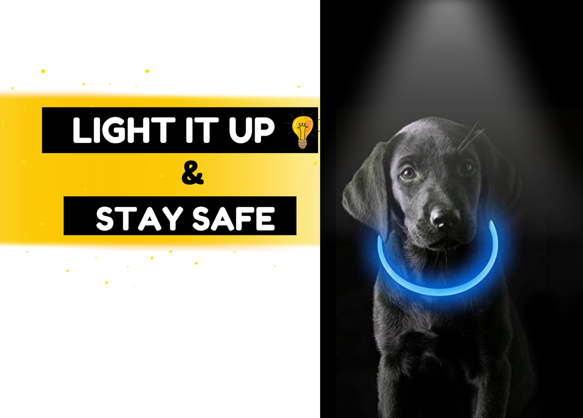 Pip & Pepper | Jouw online dierenwinkel | Webshop dierenspeciaalzaak