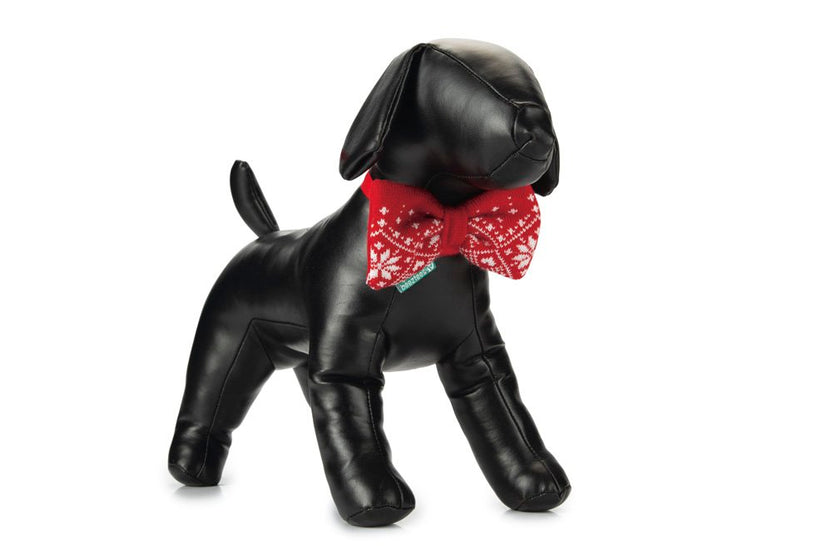 Pip & Pepper | Jouw online dierenwinkel | Webshop dierenspeciaalzaak